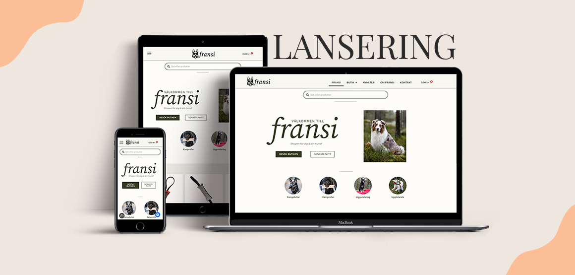 Merlins Creative - Din personliga webbyrå